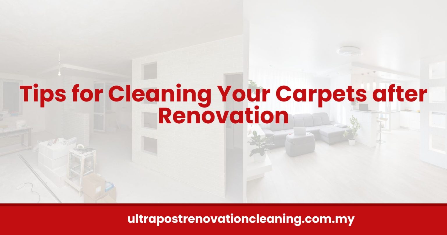 Tips for Cleaning Your Carpets after Renovation [2024]